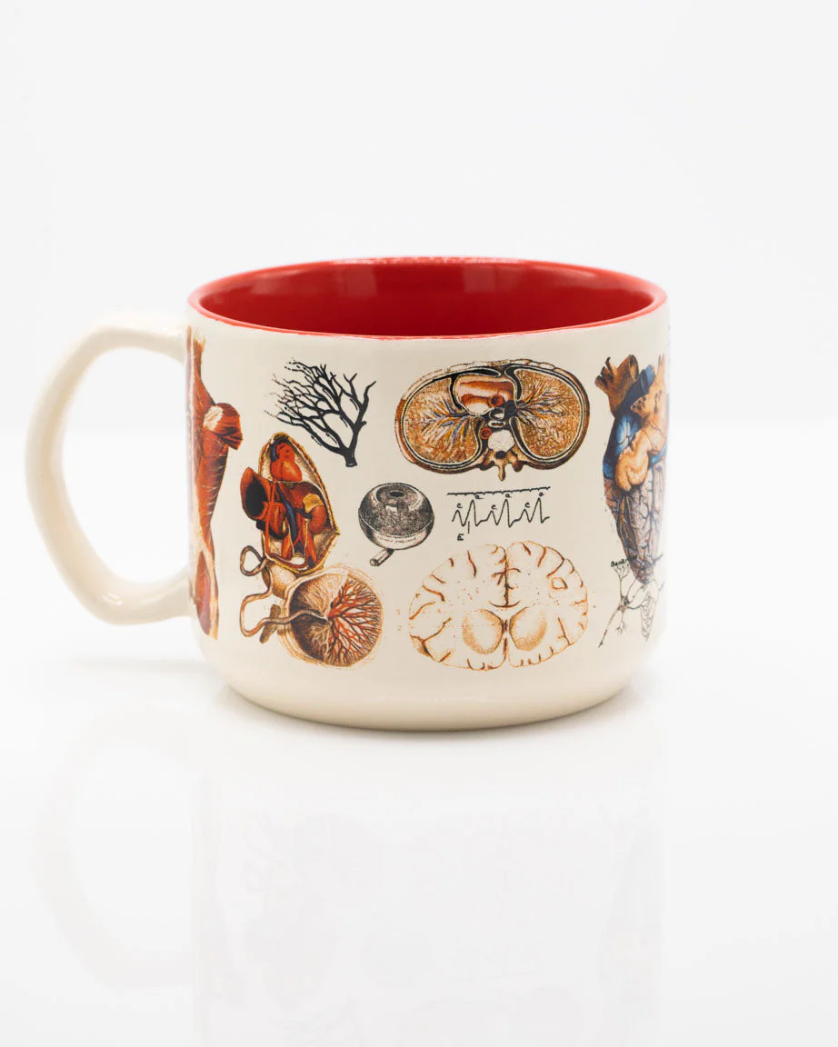 "Vascular Anatomy" Mug | Stars Aberystwyth