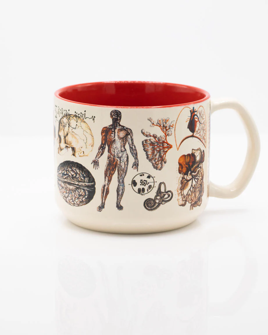 "Vascular Anatomy" Mug | Stars Aberystwyth