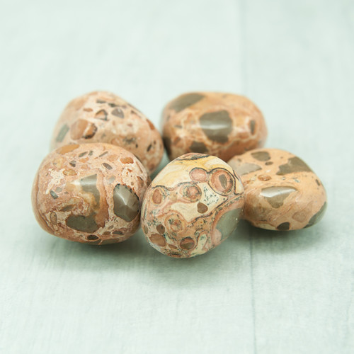 Leopardite Tumblestone | Stars Aberystwyth