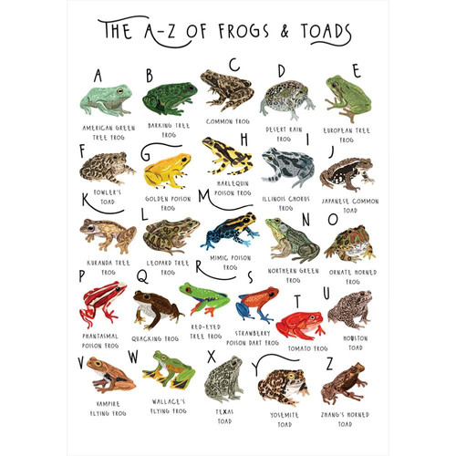 "A-Z of Frogs and Toads" Card | Stars Aberystwyth