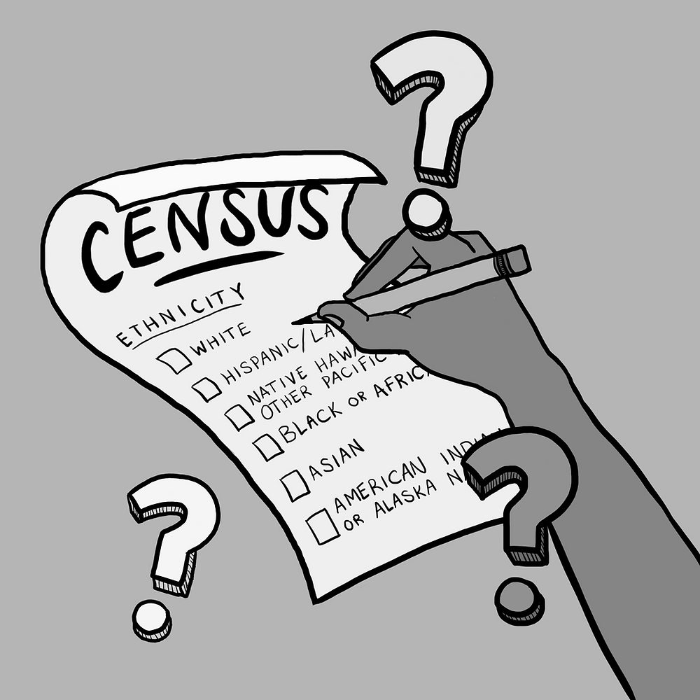 The "White" Lie: How Racial Misclassification Further Marginalizes MENA ...