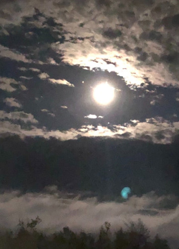 Table Tipping & Gallery Readings | website