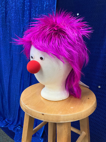 Spiky Clown Wig | Pricilla Mooseburger