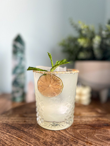 Classic Citrus Splash | Cocktail Companions