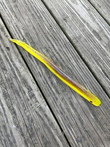 Soft Plastic Snake 12" | Mysite