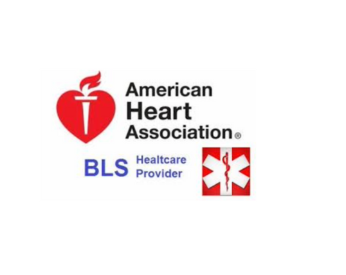 BLS Provider Course (Full/Recert) | American Safety