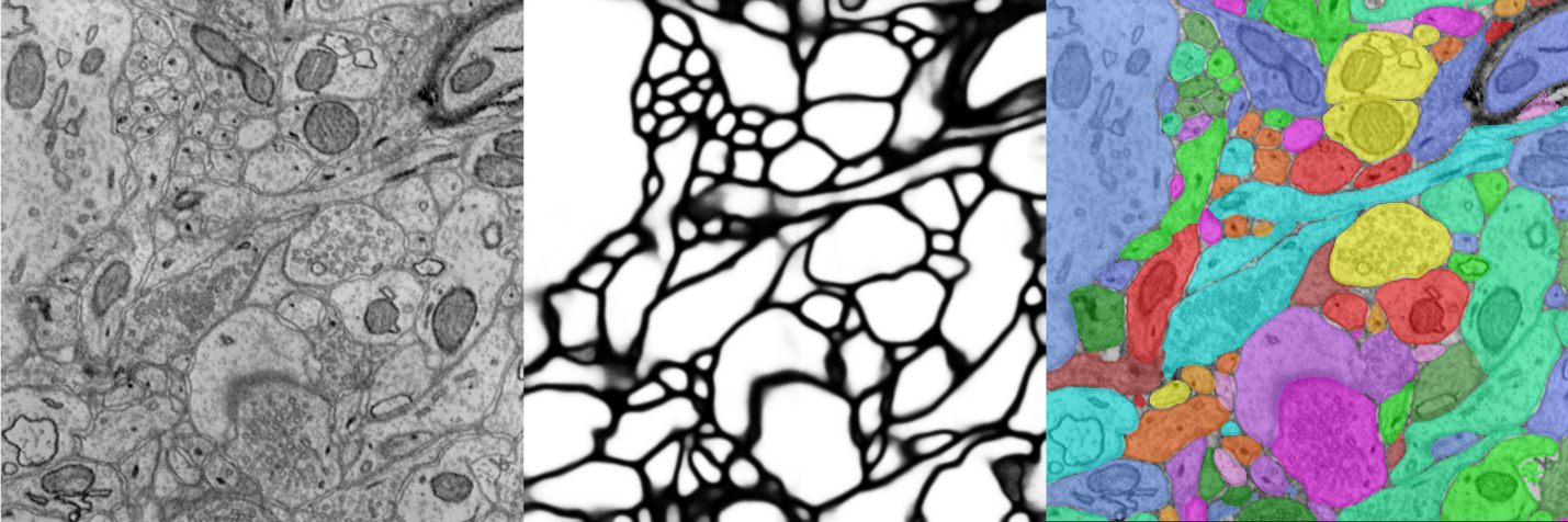 Deep Learning - AI for image-based applications | Aivia