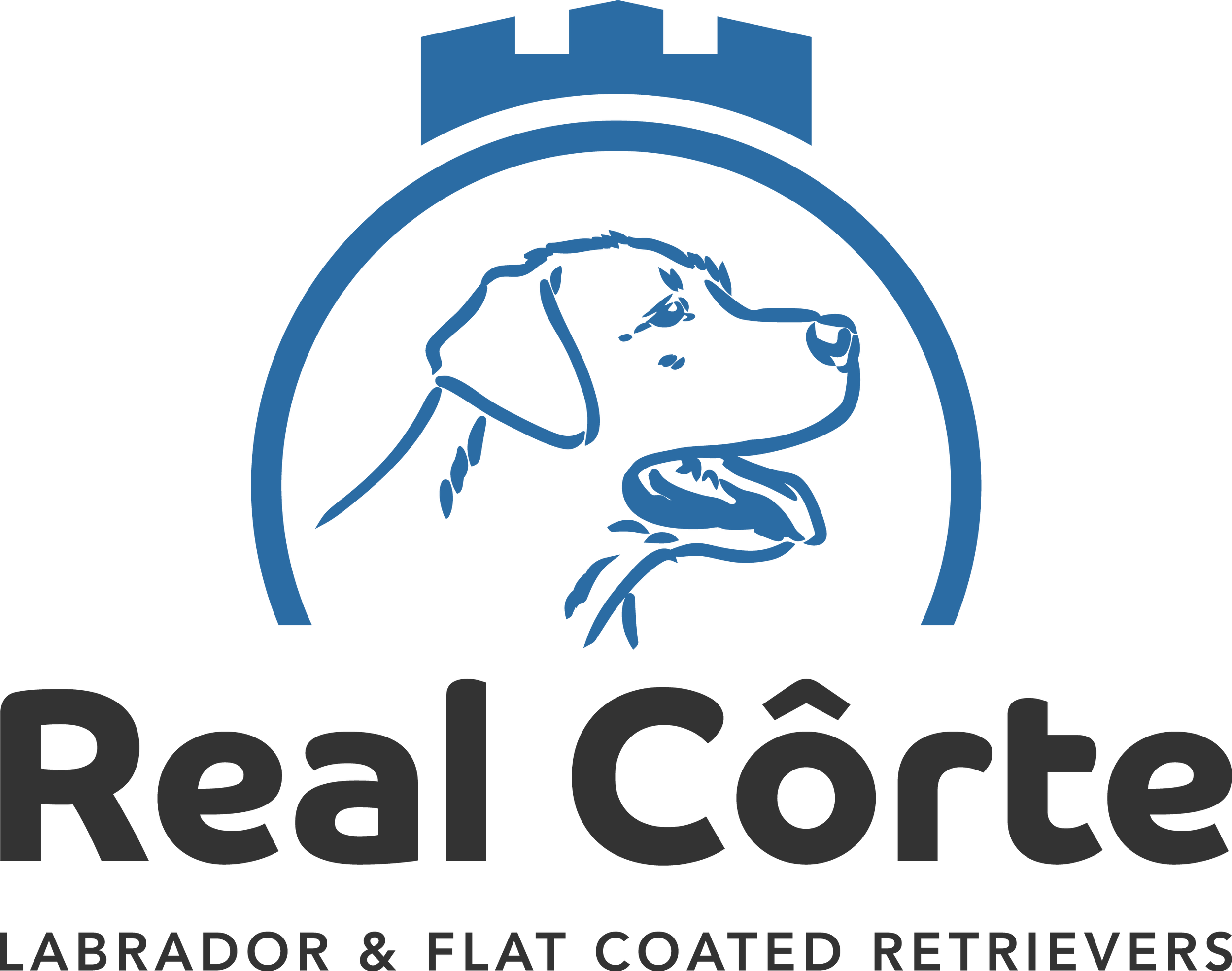 fci-judges-real-c-rte