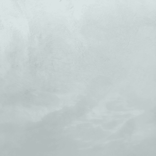 Seta – Decorative Paint with Pearl Silk Effect - Color ST12 | Silk ...