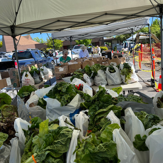Elisha's Pantry | Santa Rosa food pantry
