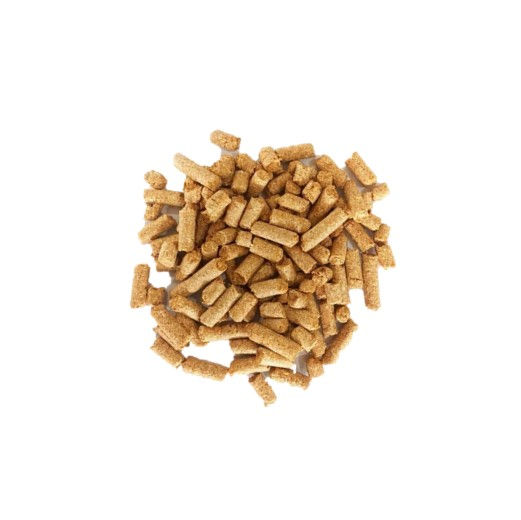 Wheat Bran Pellets | Gt Nutritions