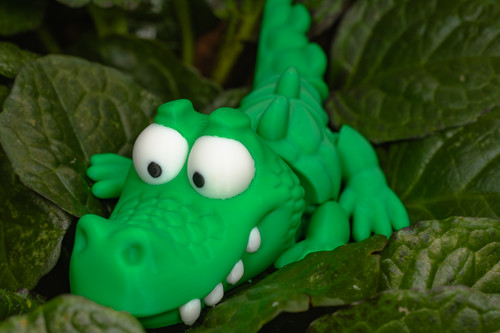 Wally the Crocodile | Articulated 3D Printed Desk Toy by 3DMDesign ...