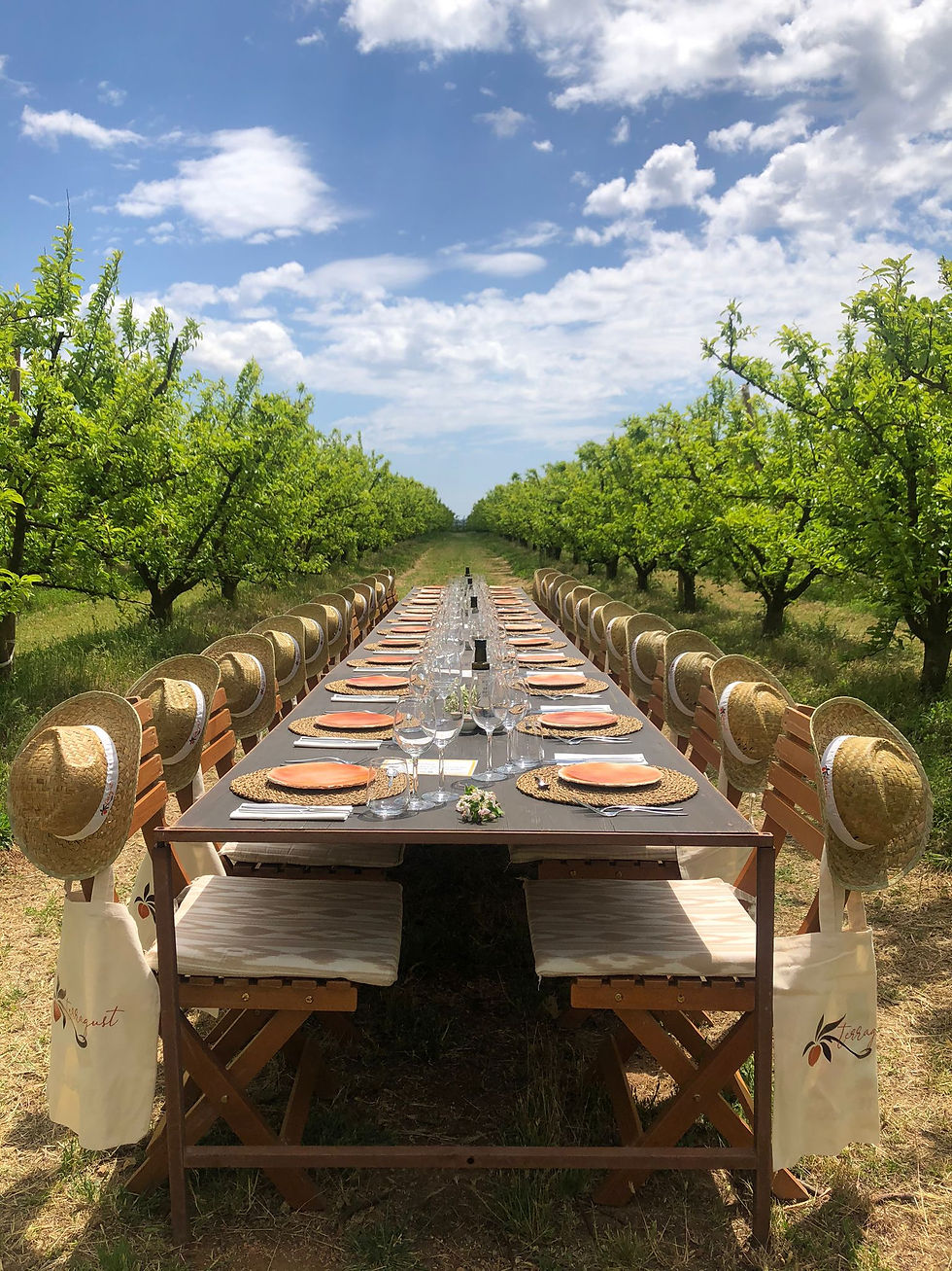 Hen Party in Palma de Mallorca TOP 15 Activities in 2025. #1 Boat trip ...