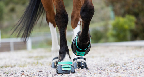 Scoot Boots | Rewind Equine