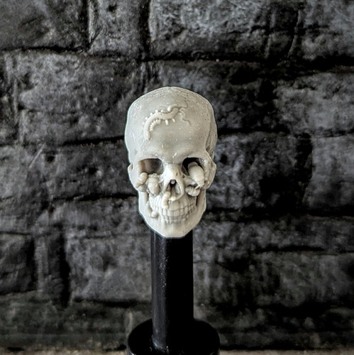 Bugged Out Skeleton Skull: Jesse Arnold Concept Art | Wolf King Customs