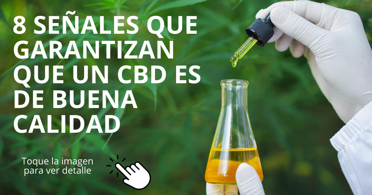 8 señales que garantizan que un aceite de CBD es de primera calidad ...