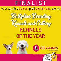 Ballykine Boarding Kennels