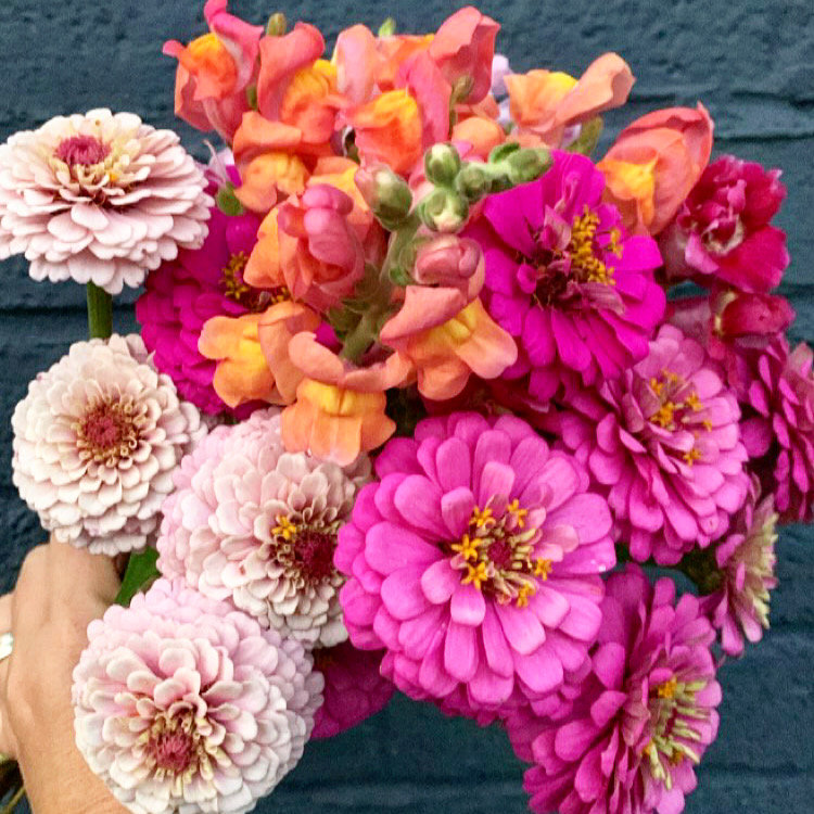 Flower Academy (THURSDAYS) | Apple & Dove