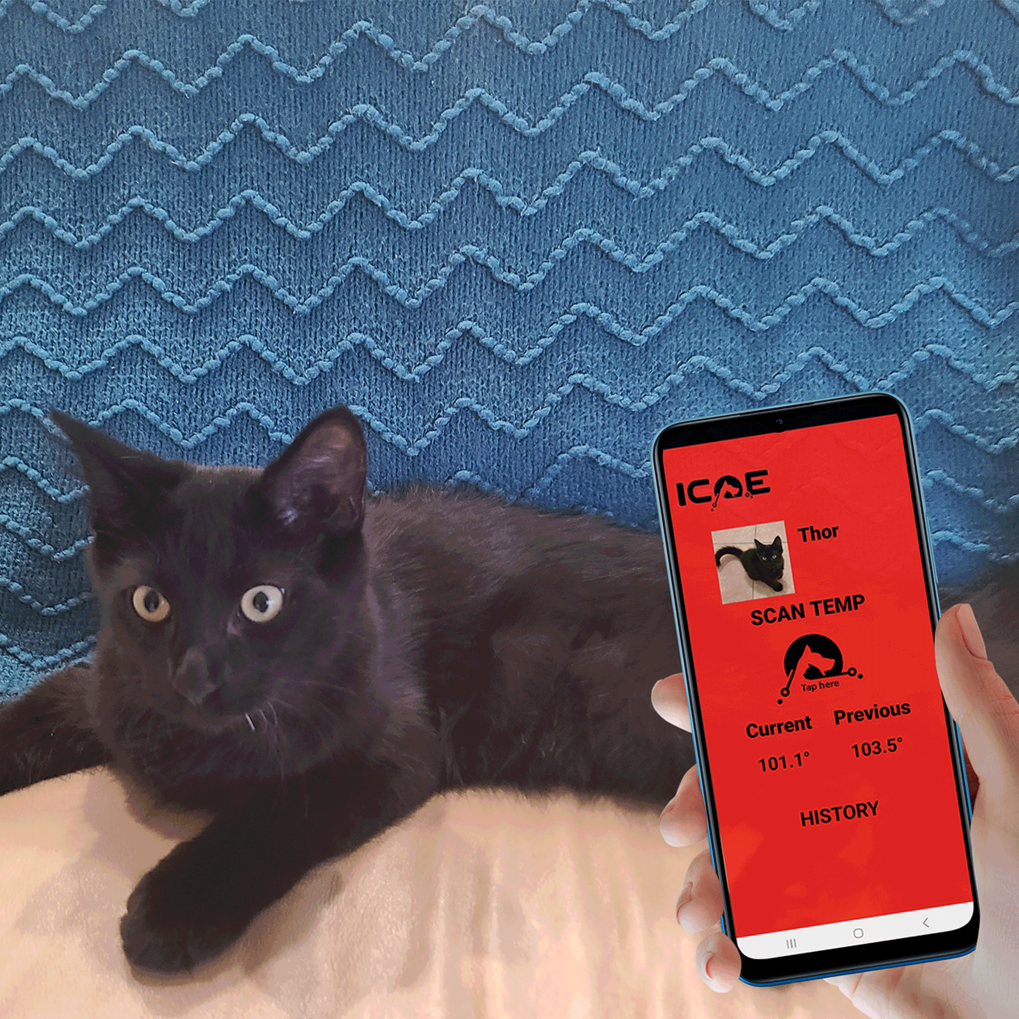 Pets | ICOE Pet LLCPetsICOE Pet LLC