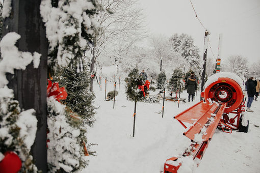 Lenderink Tree Farm | Making Your Family Tradition | Michigan