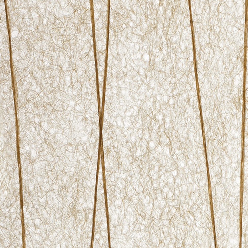 Washi Partition / Washi Lighting Paper | IPPIN PROJECT