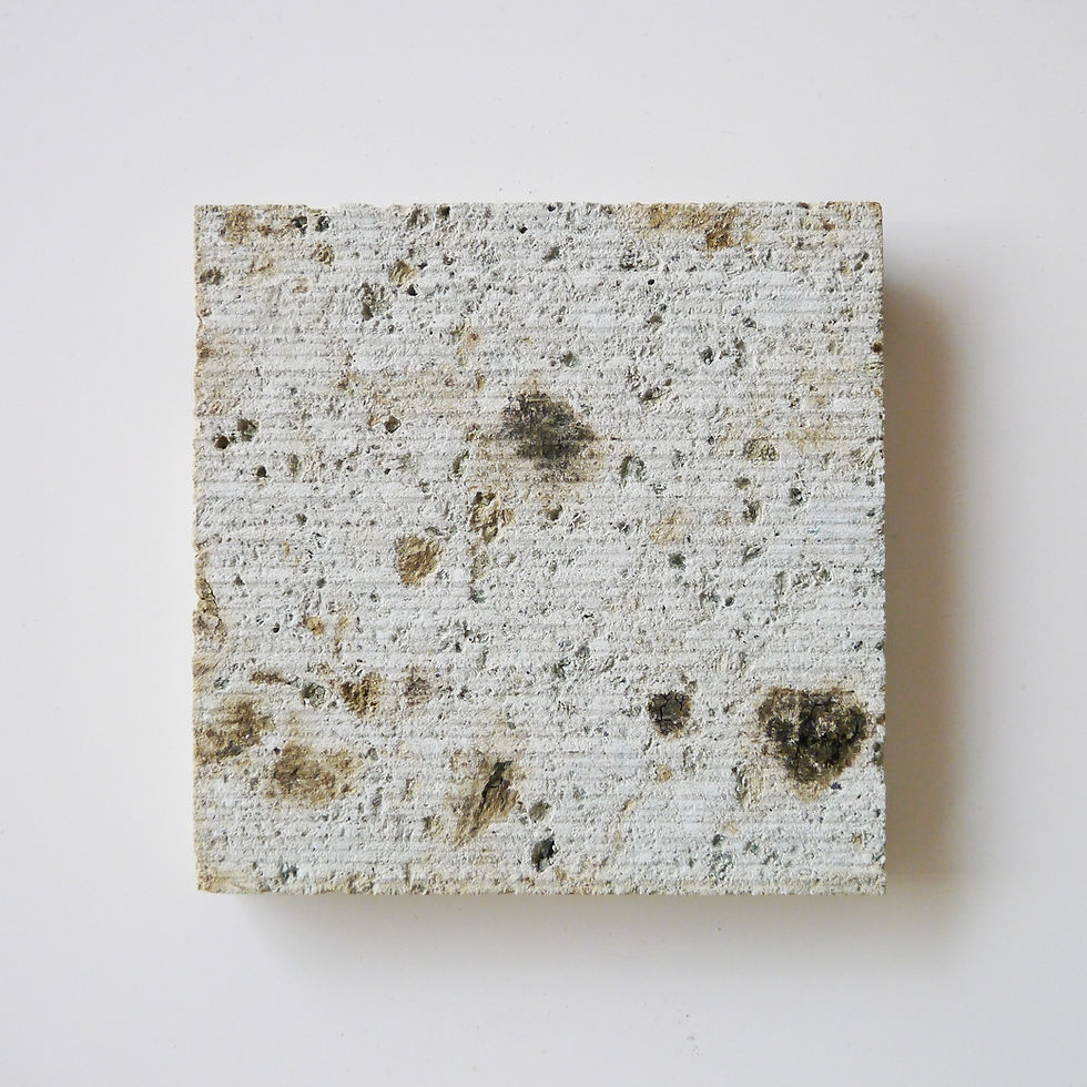 Oya Stone | IPPIN PROJECT