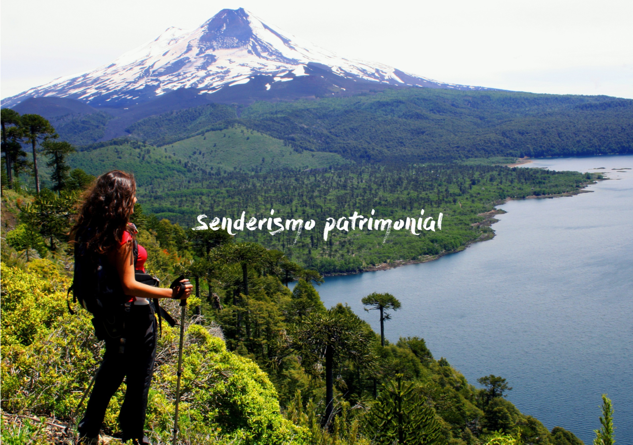 Fundación Sendero de Chile