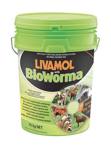 Livamol with BioWorma | Equine hoof & health