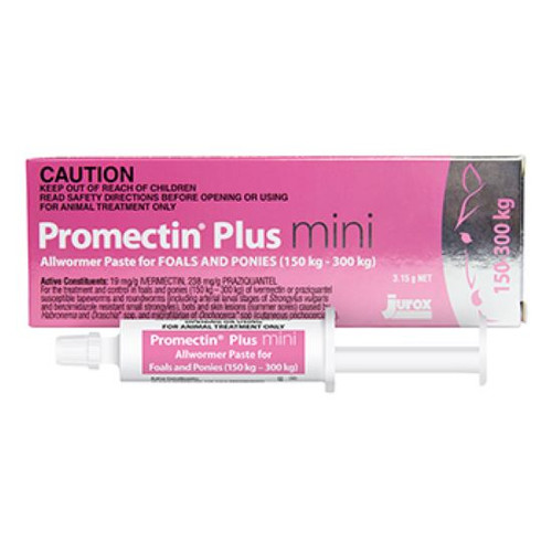 Promectin Plus LV Foal and Pony Paste 3.15g | Equine hoof & health