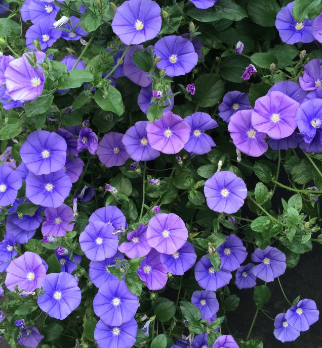 Winkel | Webshop LTI bedrijf 3/3