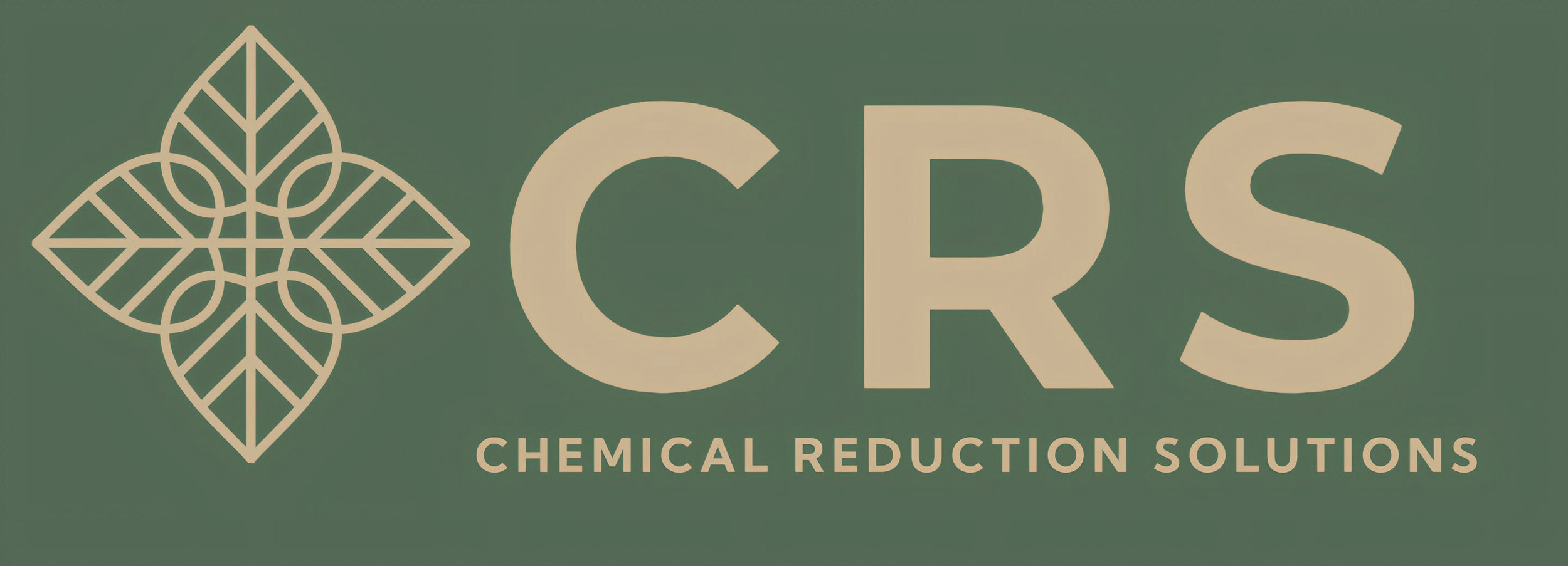 CRS | Ionization Enhanced Nanobubble Tech