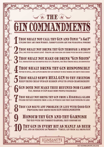 Poster: The Gin & Tonic Breaking Ice Elements [Size A4] | Tuff Luv