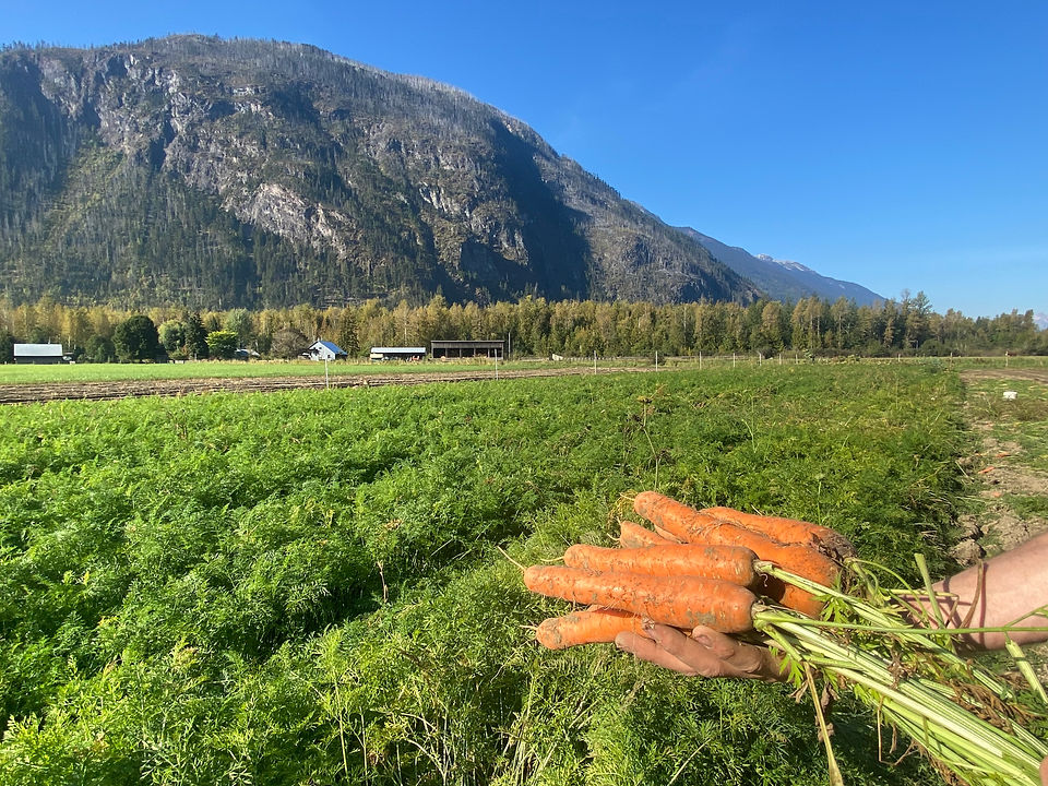 Contact us! | Pemberton Valley Farms