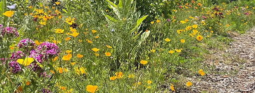 VISIT | Reed's Organic Farm