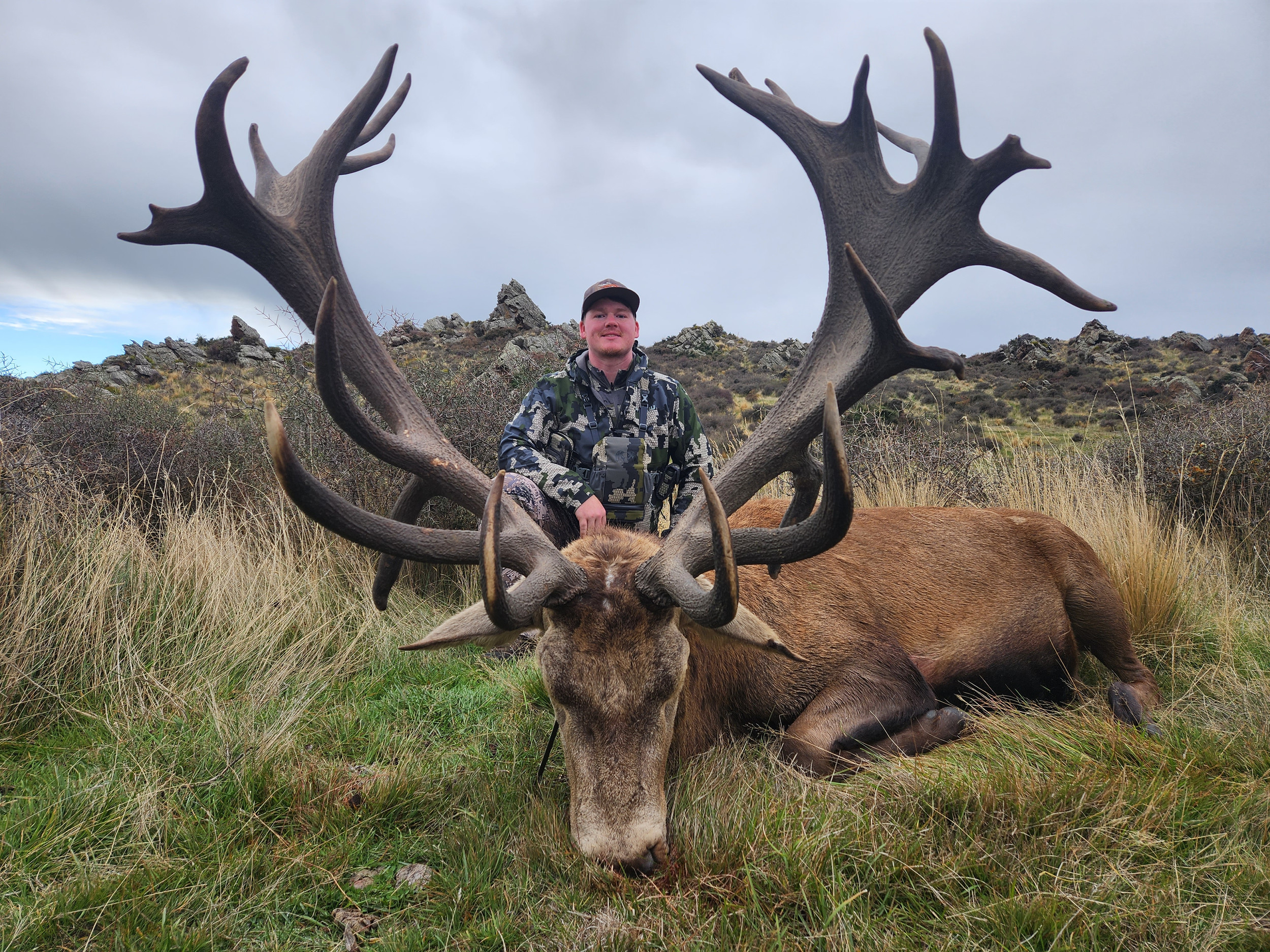 Red Deer | Waitoi Creek Trophy Hunting | Trophy hunting NZ