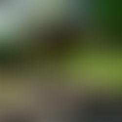 Ona Beach (Brian Booth State Park) (61 miles from Corvallis)