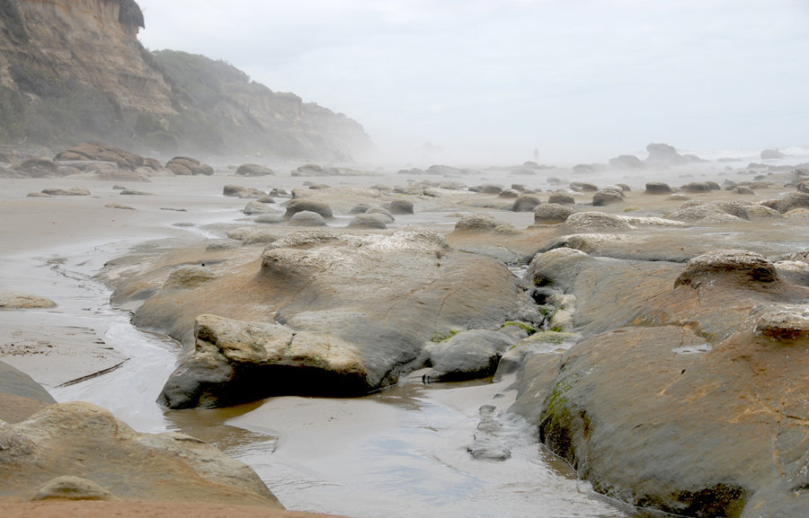 Ona Beach (Brian Booth State Park) (61 miles from Corvallis)