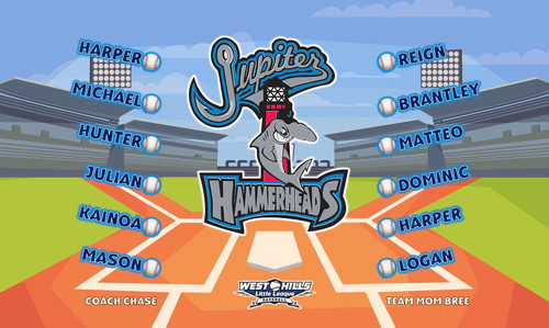 Hammerheads - Baseball | Custom Team Banners