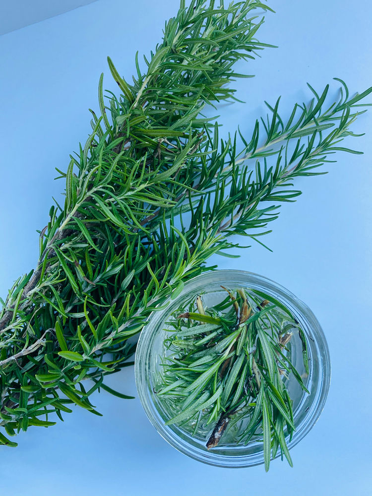 All You Need to Know About Rosemary