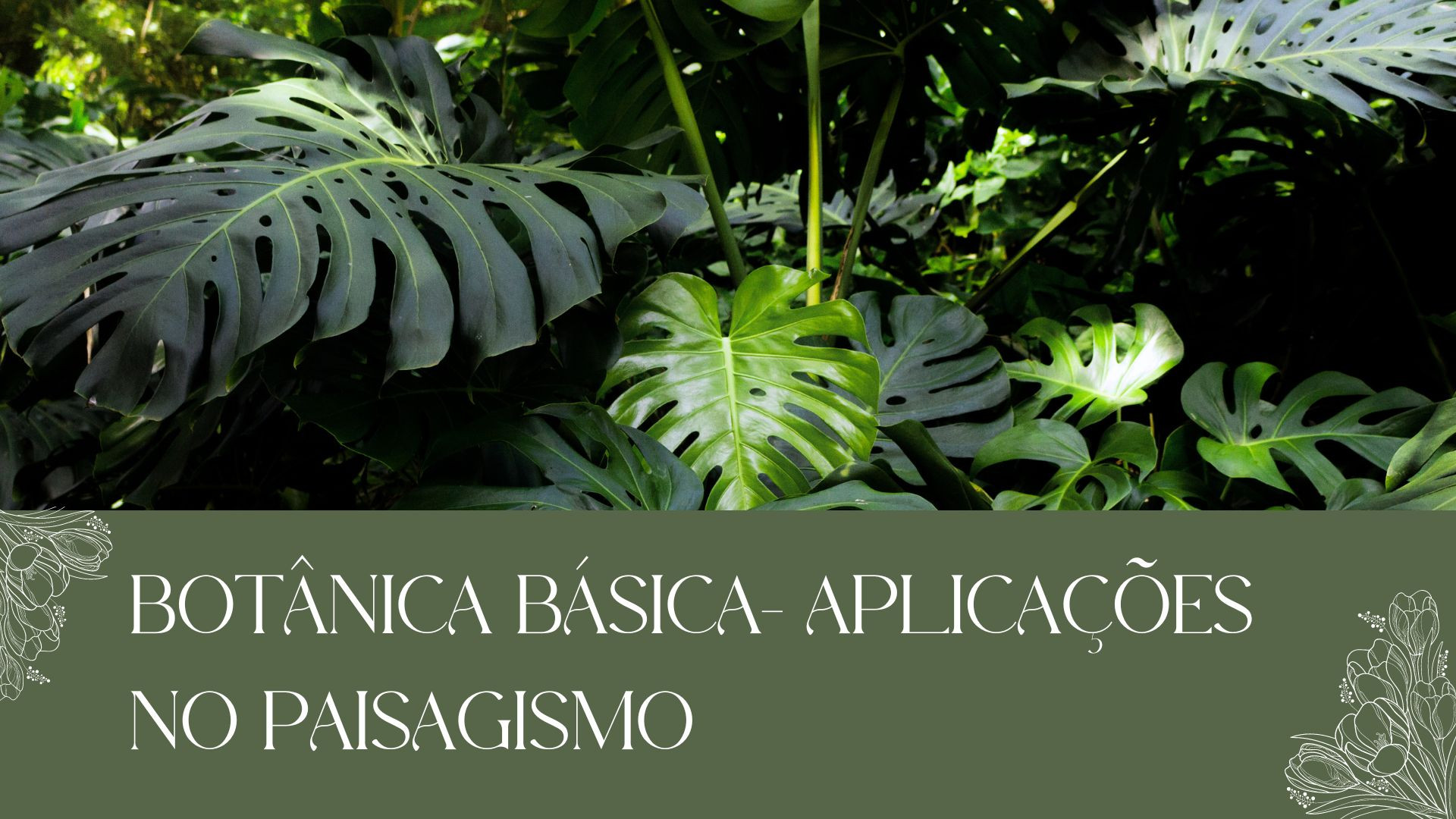Botânica Básica- Aplicações no Paisagismo | Escola de Paisagismo