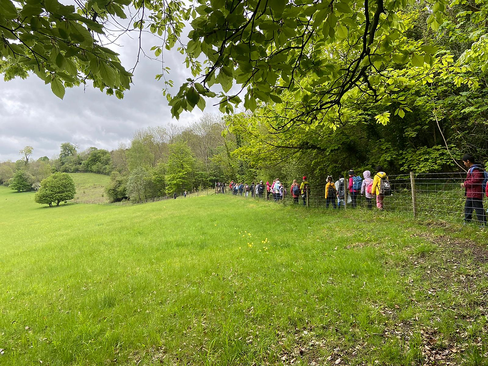 Juniper Hall and Box Hill