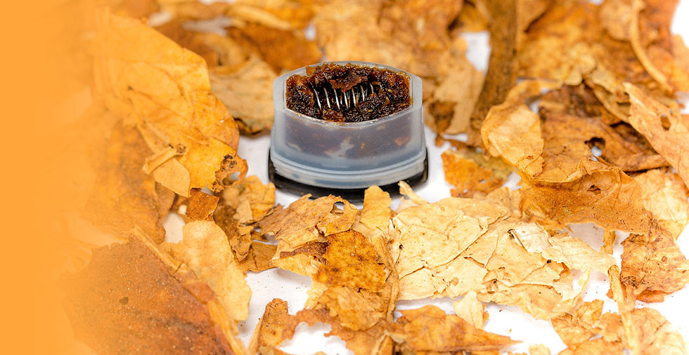 HOT-HNB Heated Organic Tobacco - Heat Not Burn