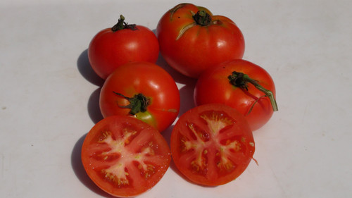 Creole Tomato | hrseeds