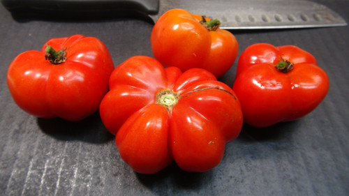 Florentine Ribbed Tomato | hrseeds