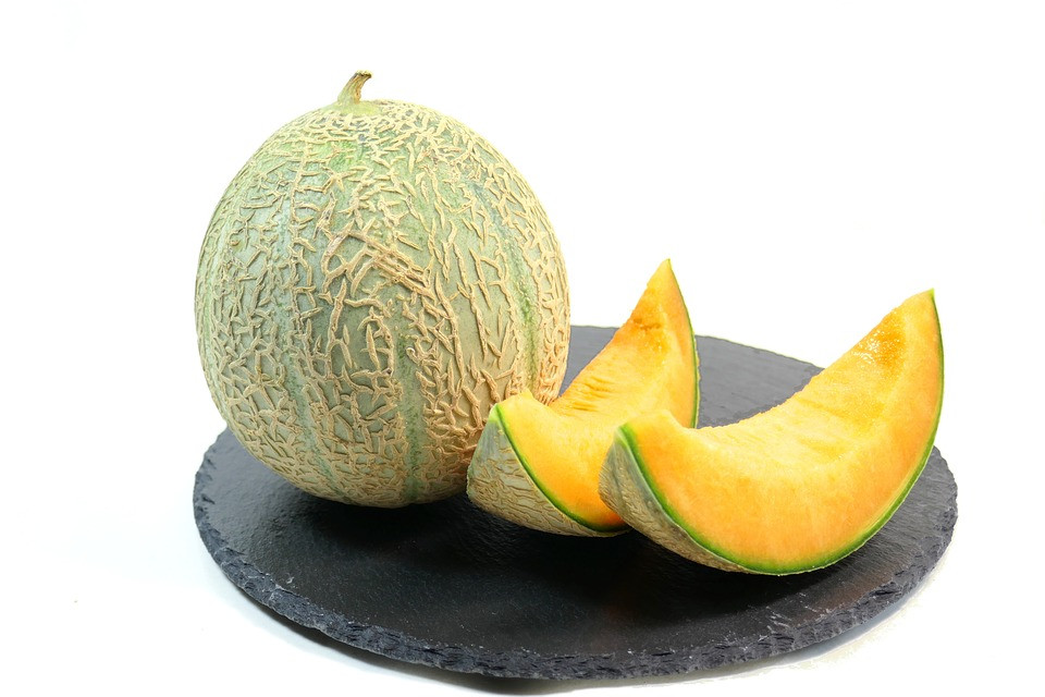 Cantaloupe Melon | HRSeeds