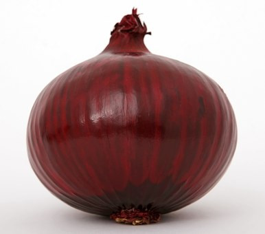Red Creole Onion | HRSeeds