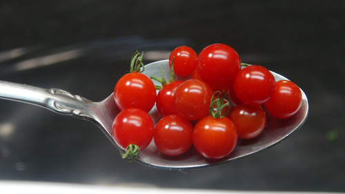 Spoon Tomato | HRSeeds