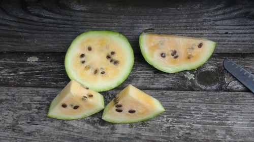 Hopi Yellow Watermelon Sikyatko | hrseeds