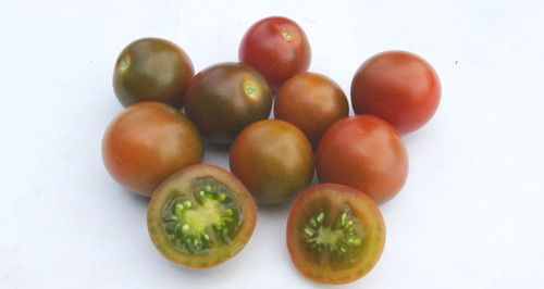 Cappuccino Cherry Tomato | HRSeeds