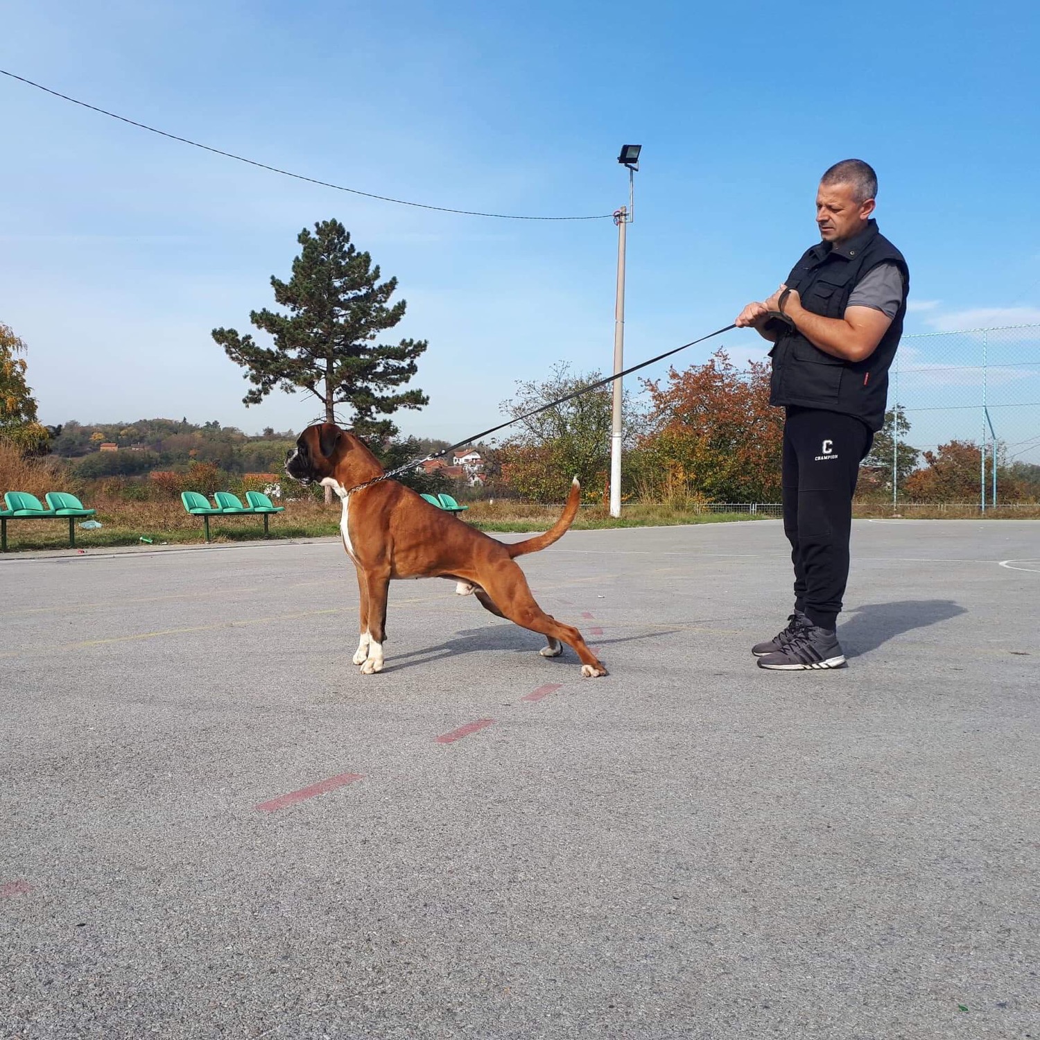 OUR BOXERS | Beyond Beautiful Boxers